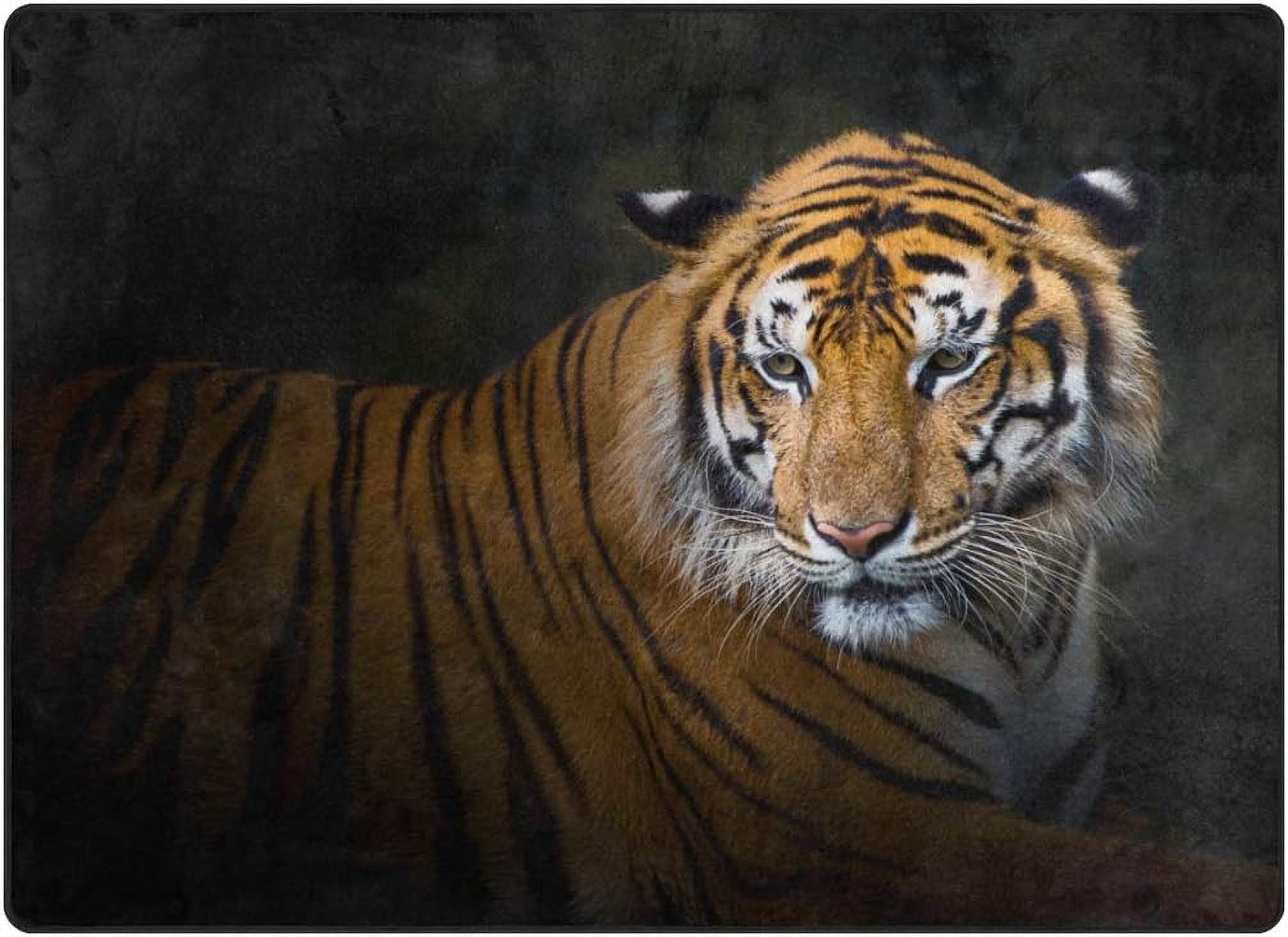 Coolnut Lightweight Soft Area Rugs 63 x 48 in, Tiger On The Dark Floor ...