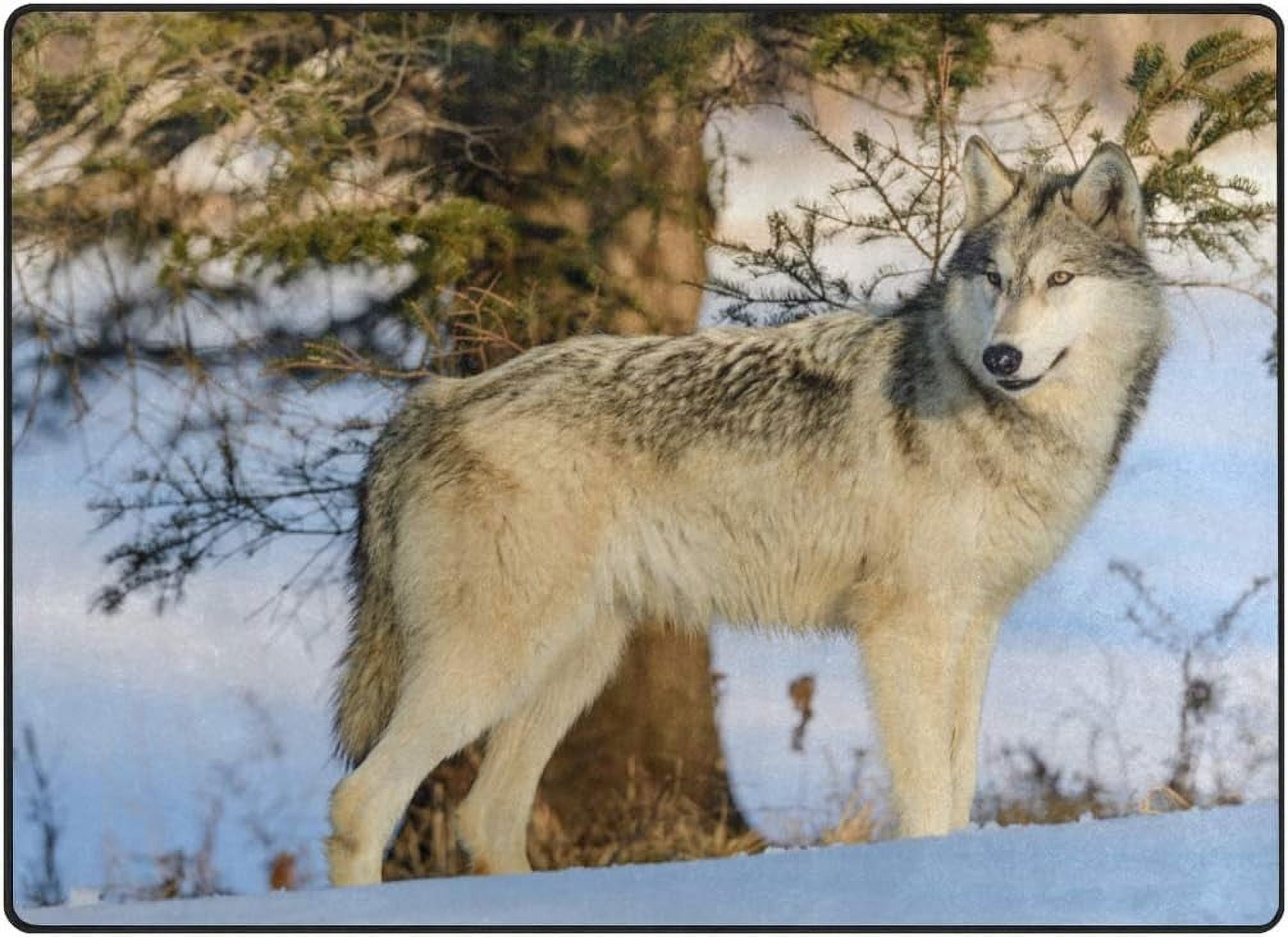 Coolnut Lightweight Soft Area Rugs 63 x 48 in, Wolf On The Snowy Land ...