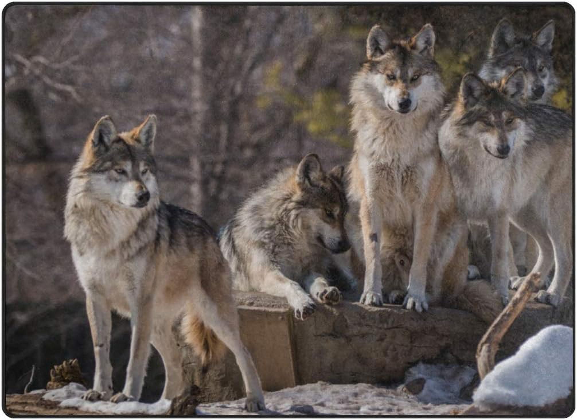 Coolnut Lightweight Soft Area Rugs 63 x 48 in, Wolves Herd Floor Mat ...