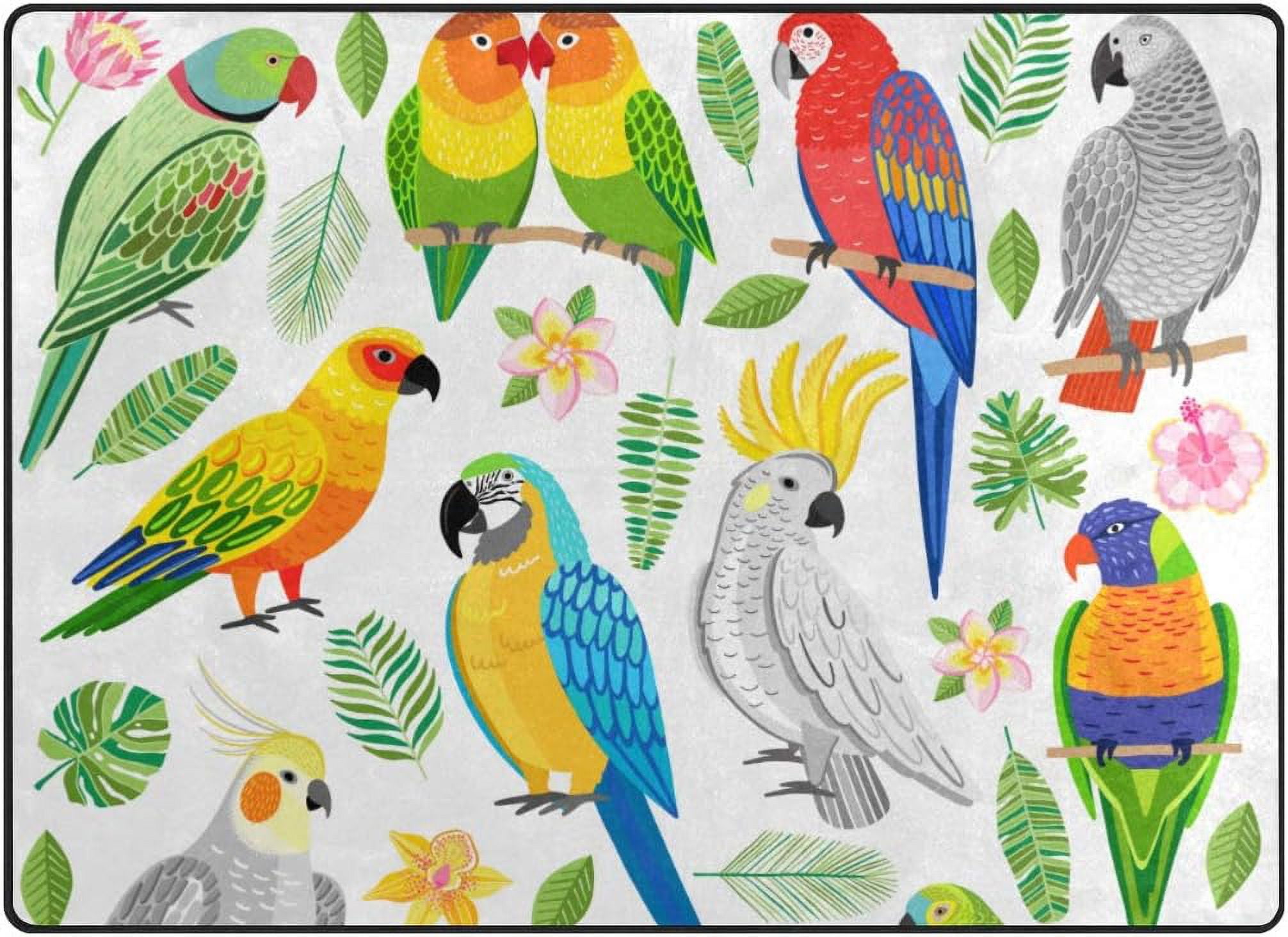 Coolnut Lightweight Soft Area Rugs, 80 x 58 inch（6'8" x 4'10 ...