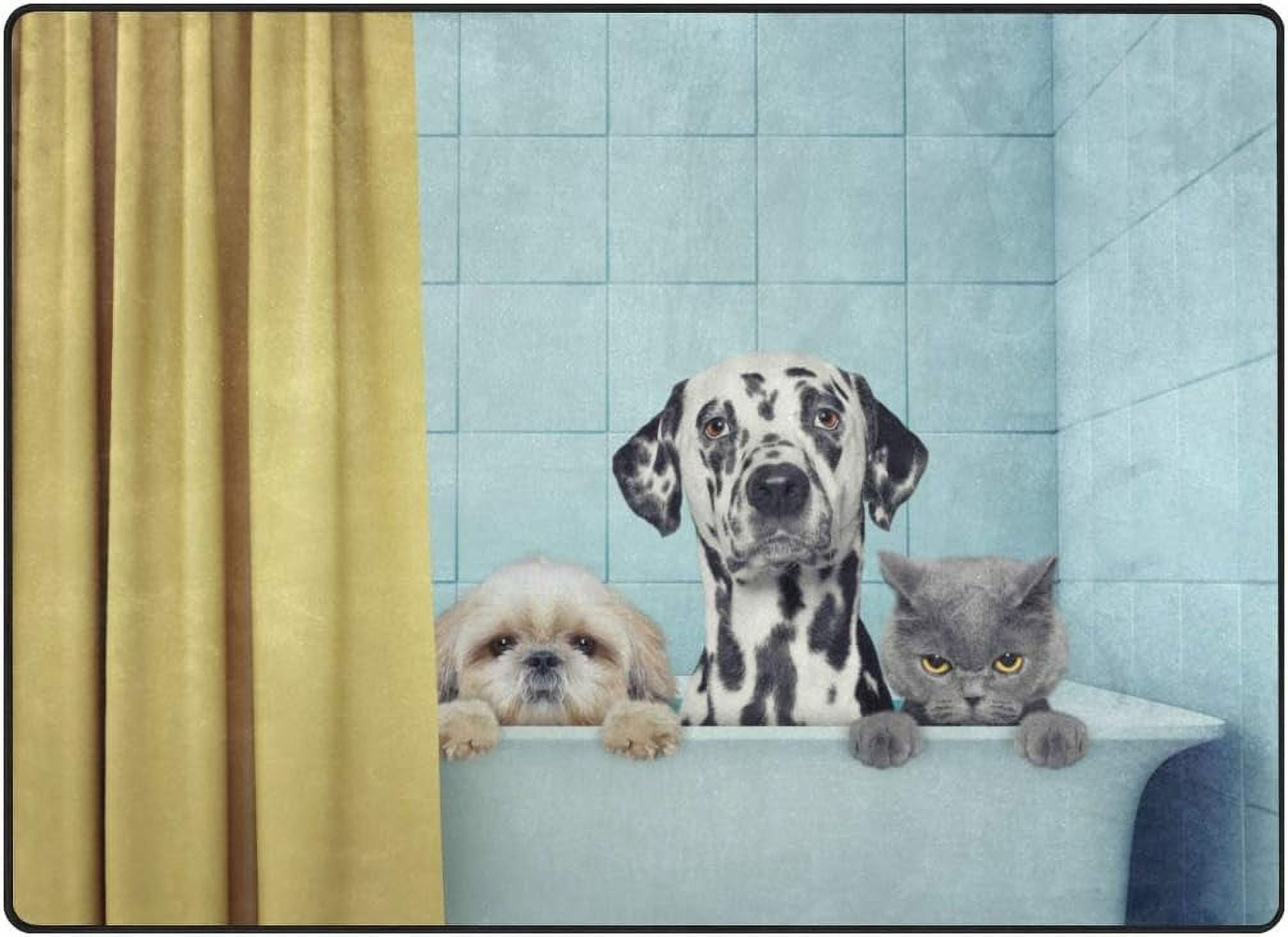 Coolnut Lightweight Soft Area Rugs, 80 x 58 inch（6'8" x 4'10"） Cute ...