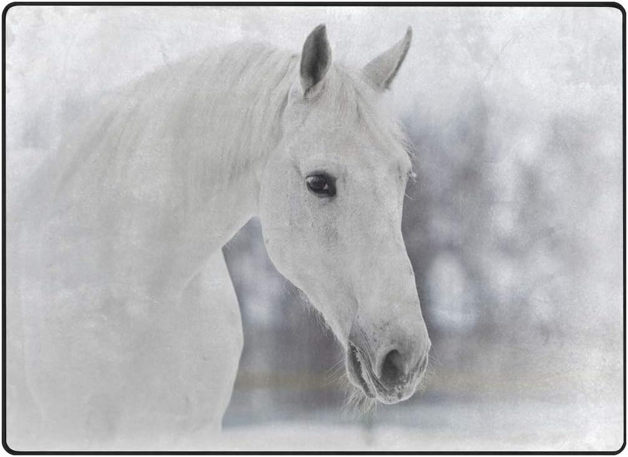 Coolnut Lightweight Soft Area Rugs, 80 x 58 inch（6'8" x 4'10"） White ...