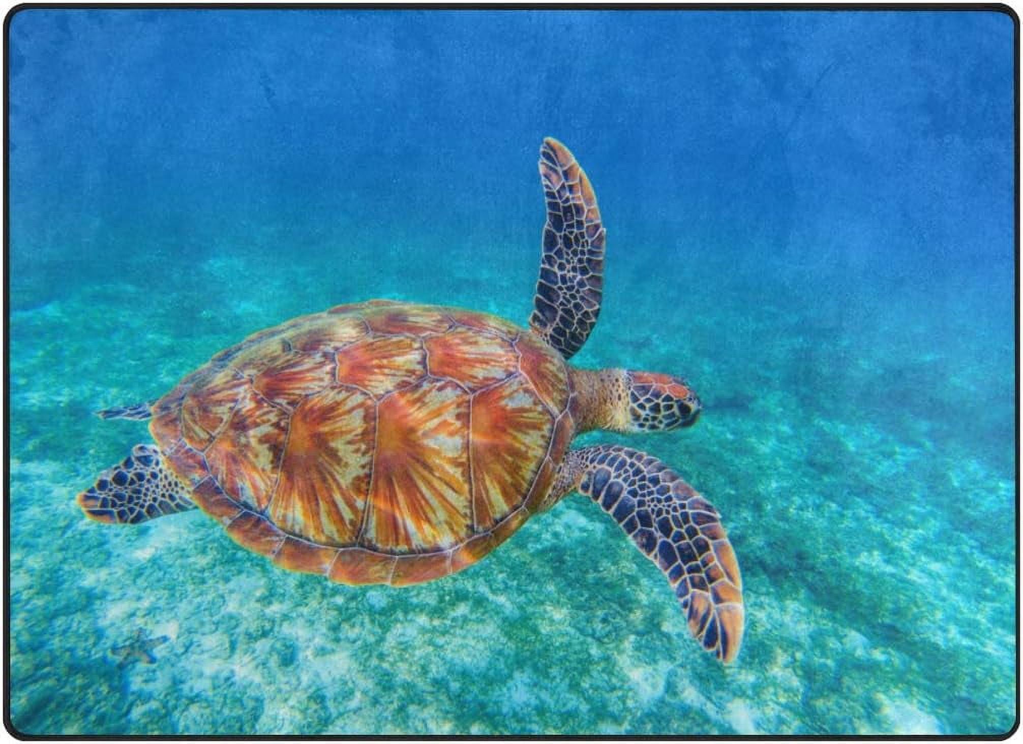 Coolnut Lightweight Soft Area Rugs 80 X 58 Inch 6 8 X 4 10 Turtle coolnut-lightweight-soft-area-rugs-80-x-58-inch-6-8-x-4-10-turtle