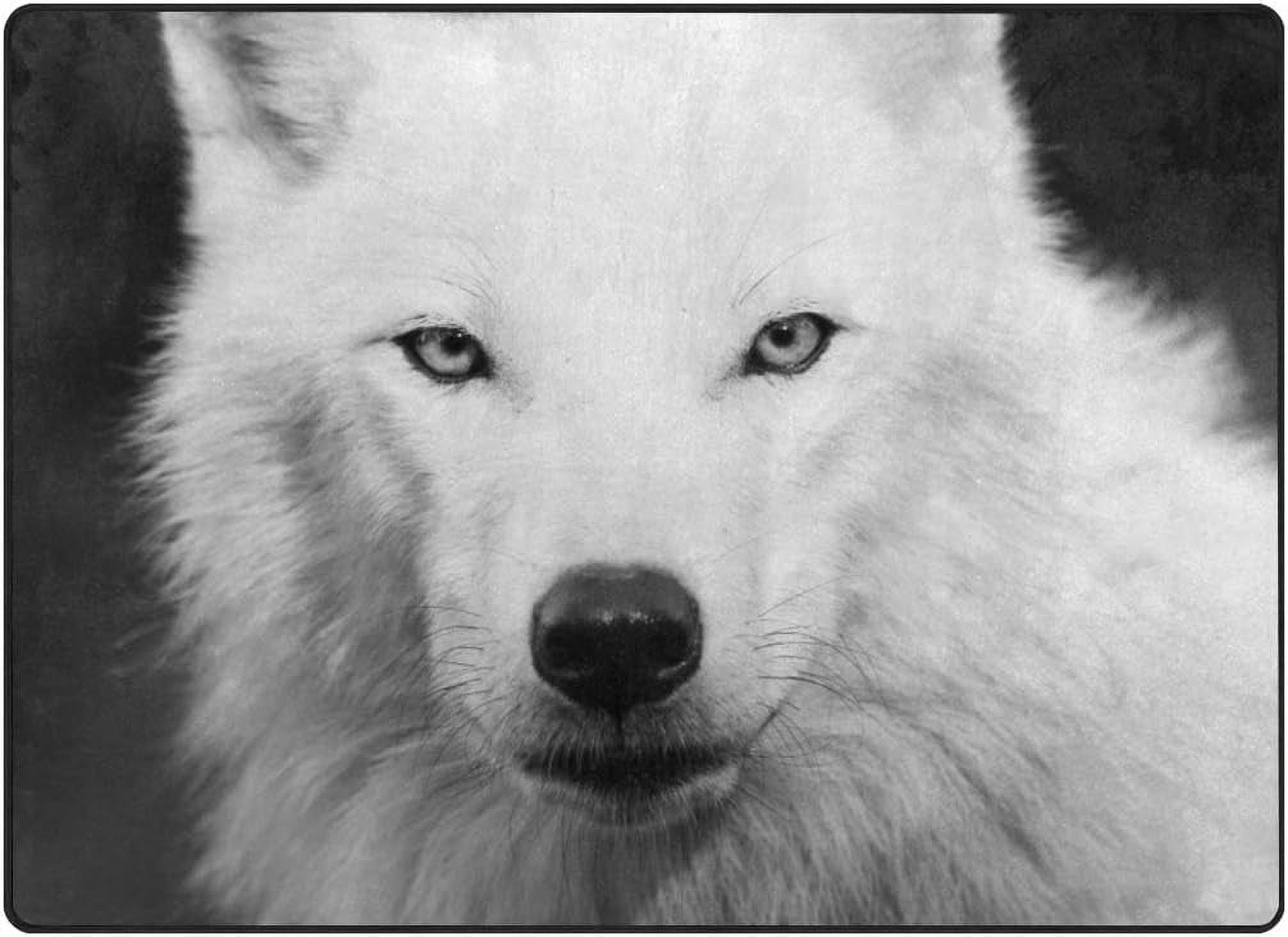 Coolnut Lightweight Soft Area Rugs, 80x58 inchWhite Wolf Floor Mat for ...