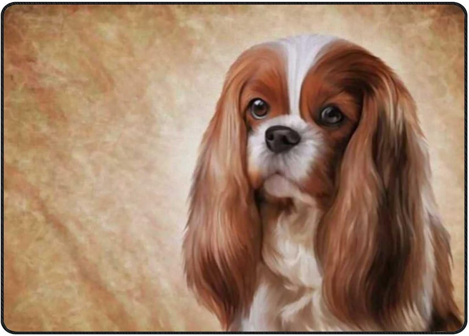 Coolnut Lightweight Soft Area Rugs Cavalier King Charles Spaniel ...