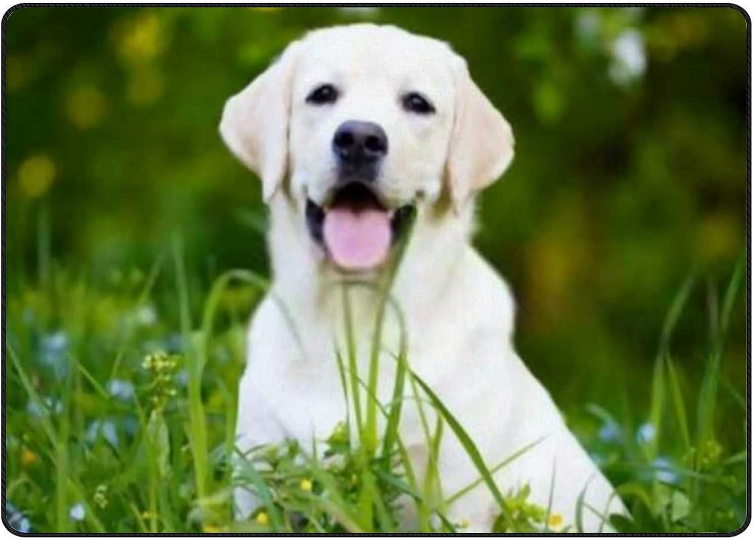 Coolnut Lightweight Soft Area Rugs Labrador Retriever Dog Floor Carpet ...