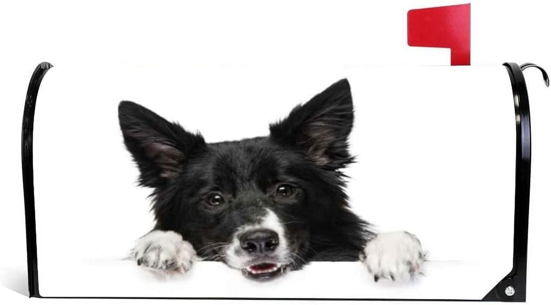 Coolnut Magnetic Mailbox Cover, Dog Breeds Border Collie Stands with ...