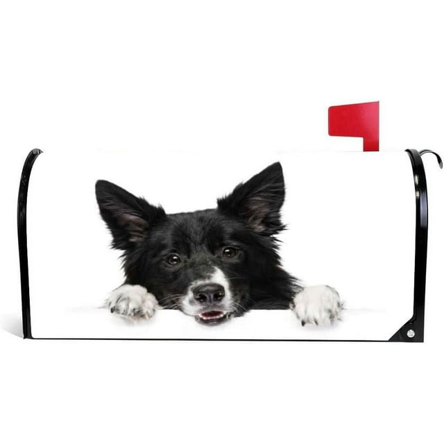 Coolnut Magnetic Mailbox Cover, Dog Breeds Border Collie Stands with ...
