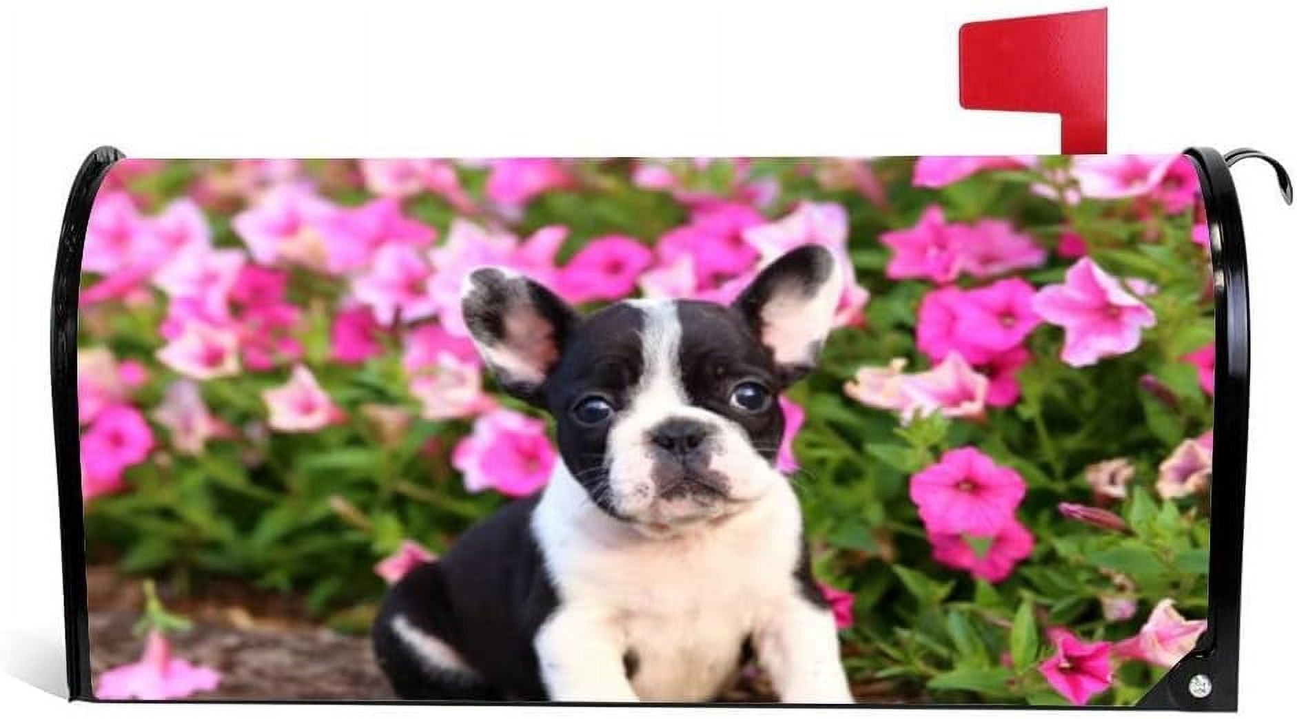 Coolnut Magnetic Mailbox Cover, French Bulldog Puppy Sitting in Front ...