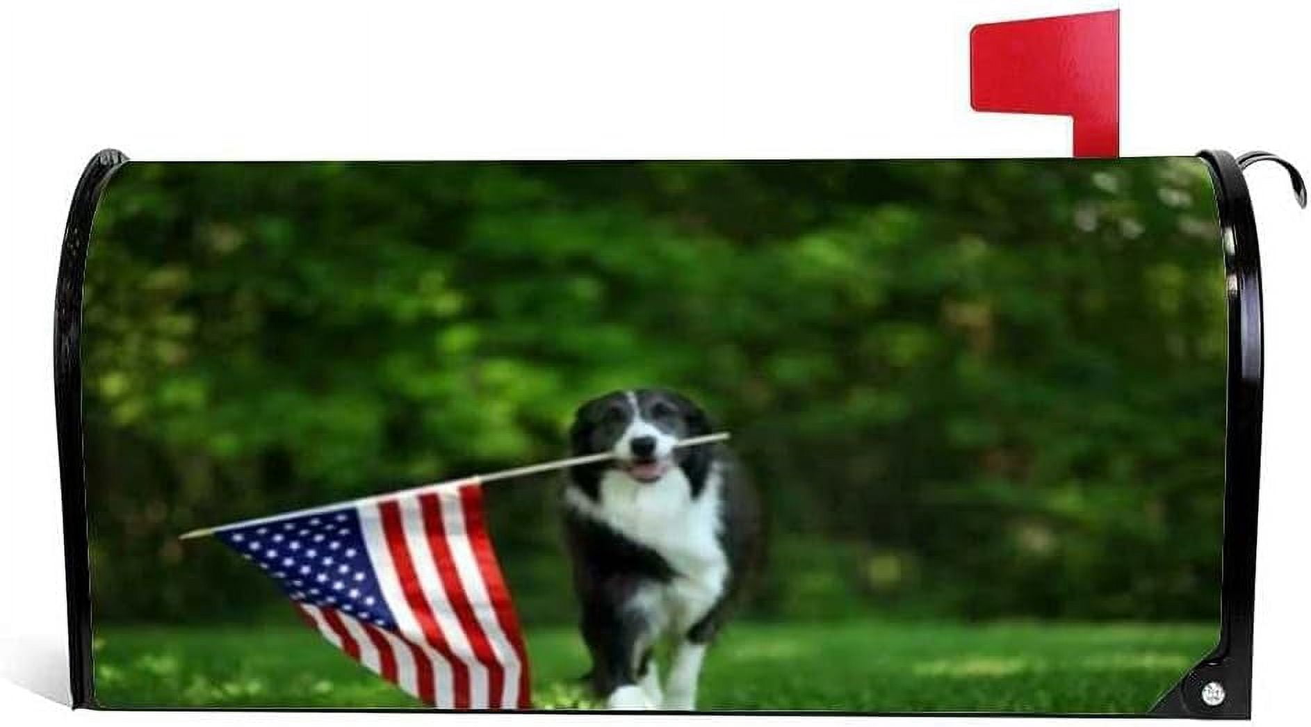 Coolnut Magnetic Mailbox Cover, Happy Border Collie Carrying USA Flag ...