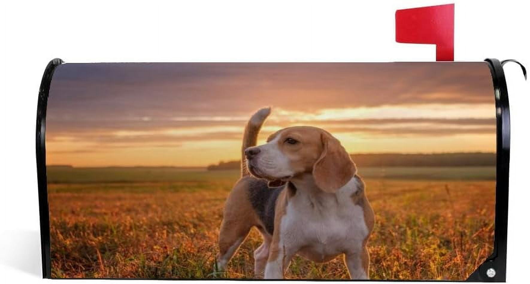 Coolnut Mailbox Cover Beagle Dog On The Beautiful Sunset Post Mail Box ...