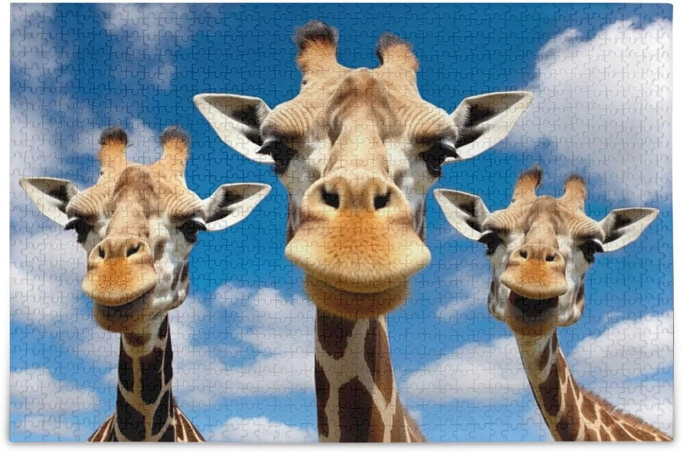 Puzzles for Adults and Kids 500 Pieces - Funny Giraffes Jigsaw Puzzles Fun Educational Games Toy ...