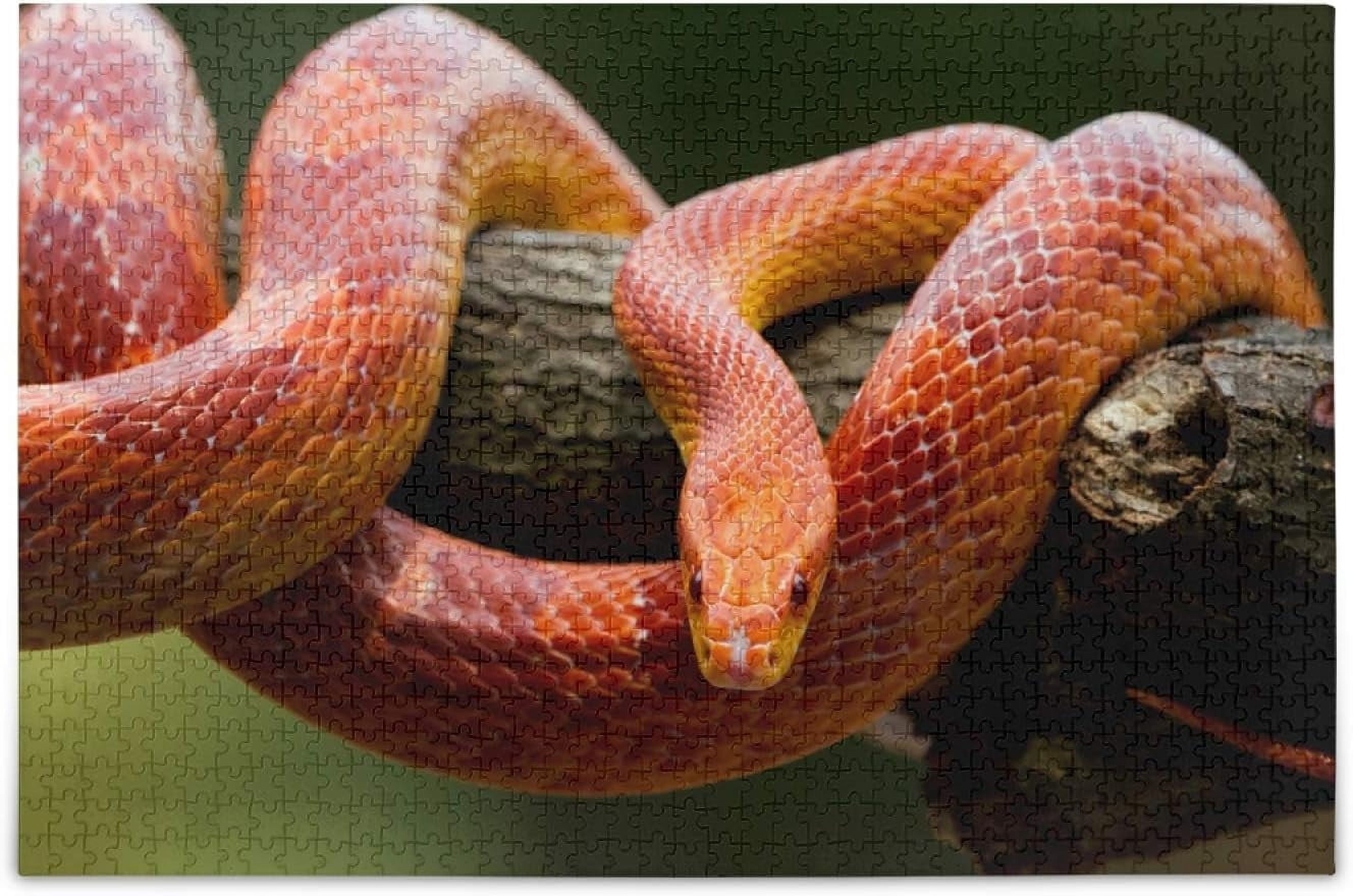 Coolnut Red Corn Snake On Branch Jigsaw Puzzles, Wooden Puzzles for ...