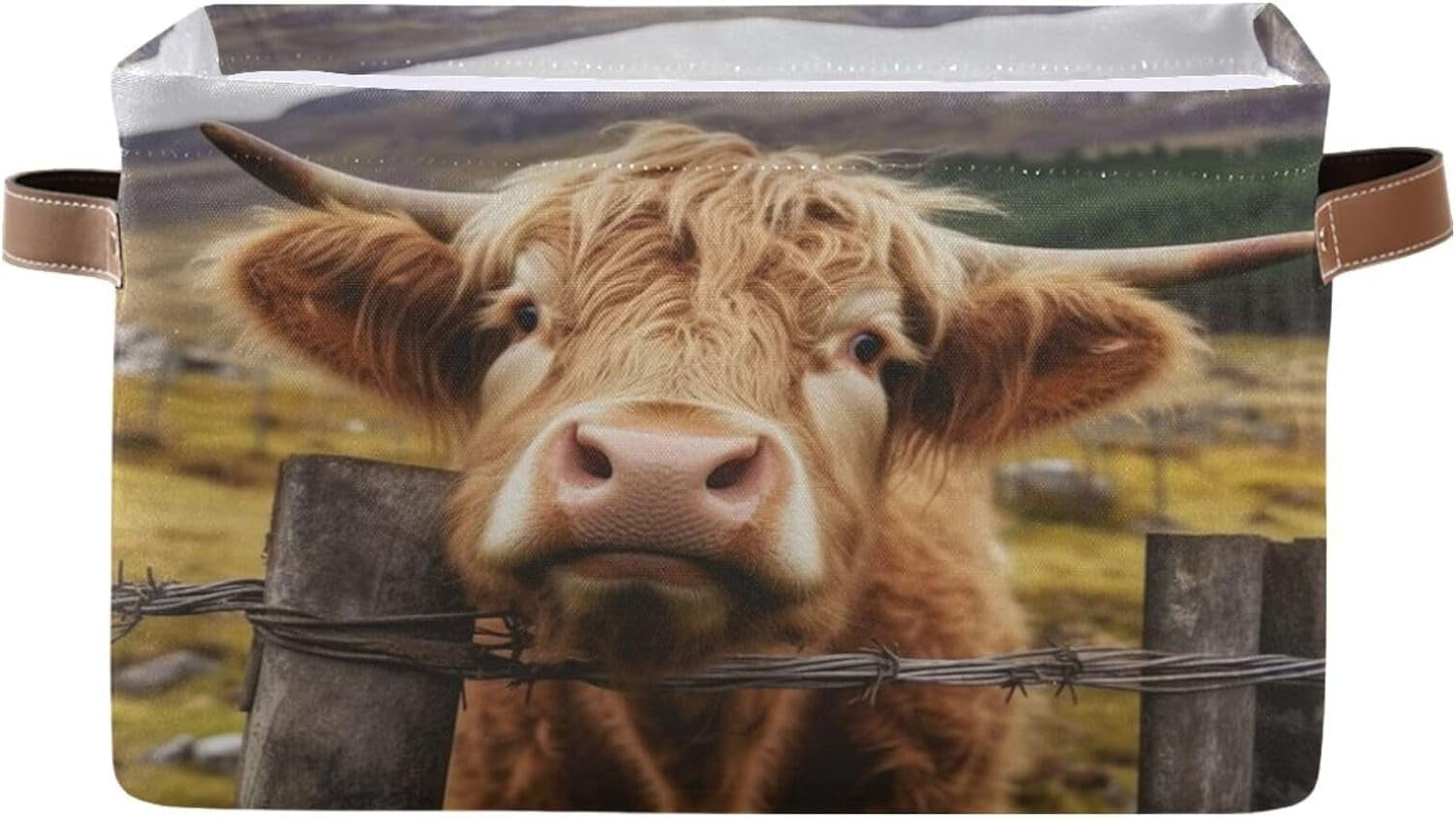 Coolnut Scotlandic Highlands Cow Foldable Storage Basket for Shelves ...