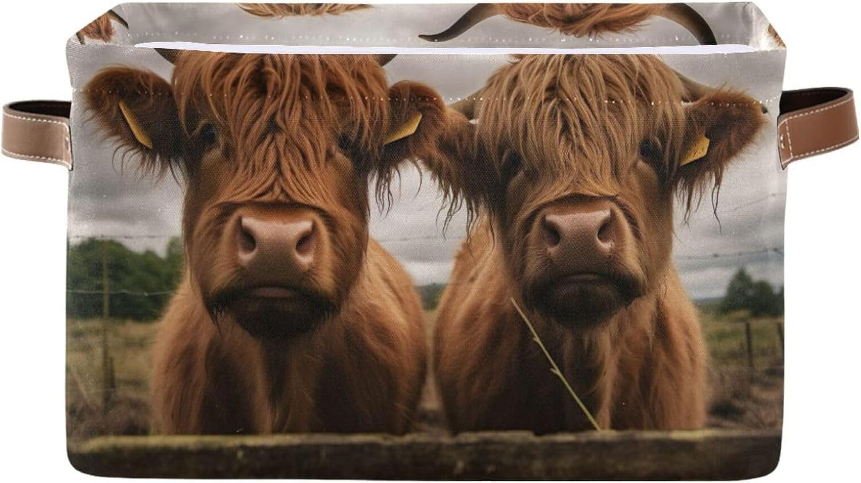 Coolnut Scottish Highland Cattle Cows Foldable Storage Basket for ...