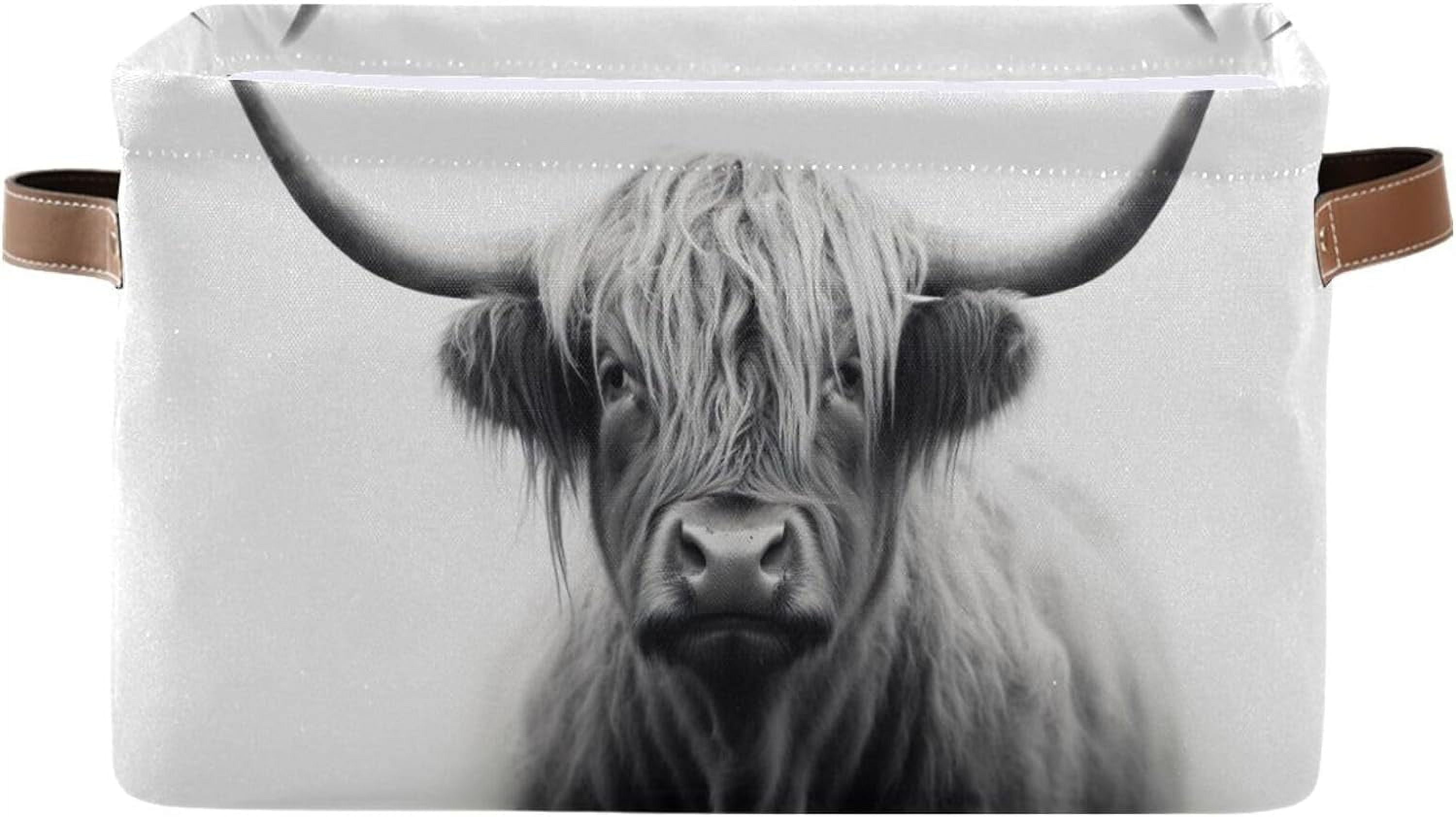 Coolnut Scottish Highland Cow Print Storage Bin Collapsible Canvas ...