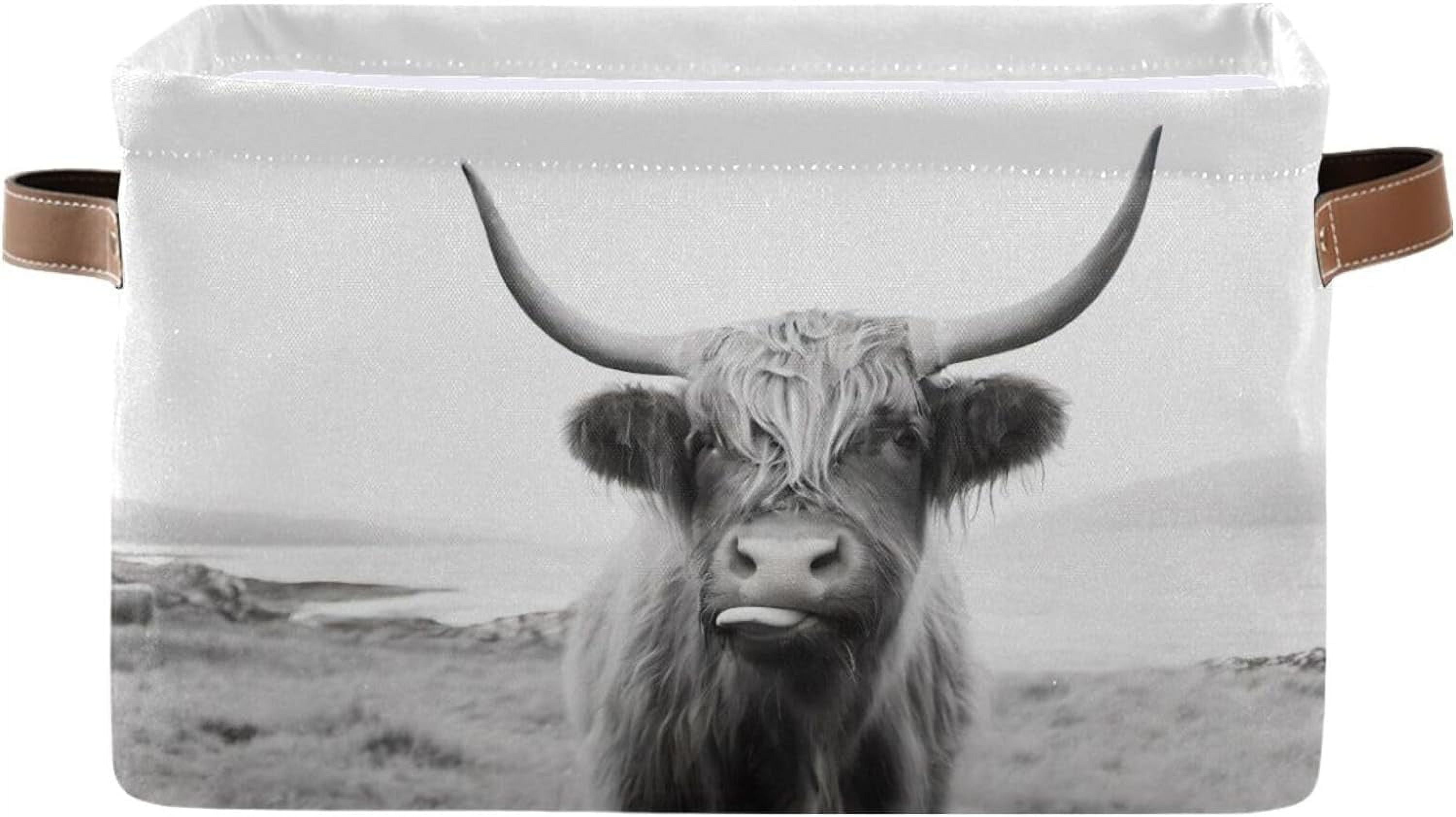 Coolnut Scottish Highland Cow Print Storage Bin Collapsible Canvas ...