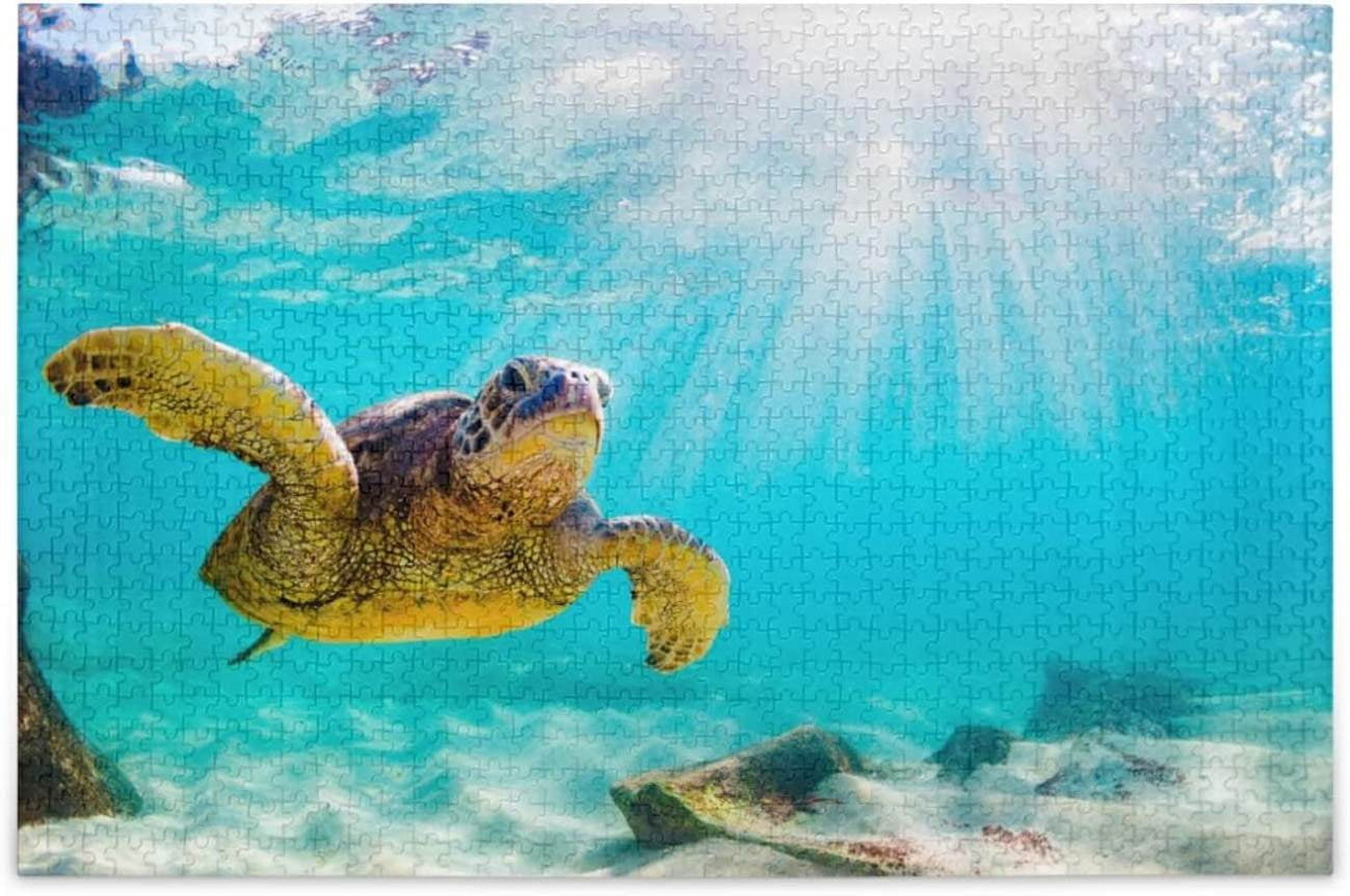 Coolnut Sea Turtle Underwater Jigsaw Puzzles for Adults 500 Pieces, 20. ...