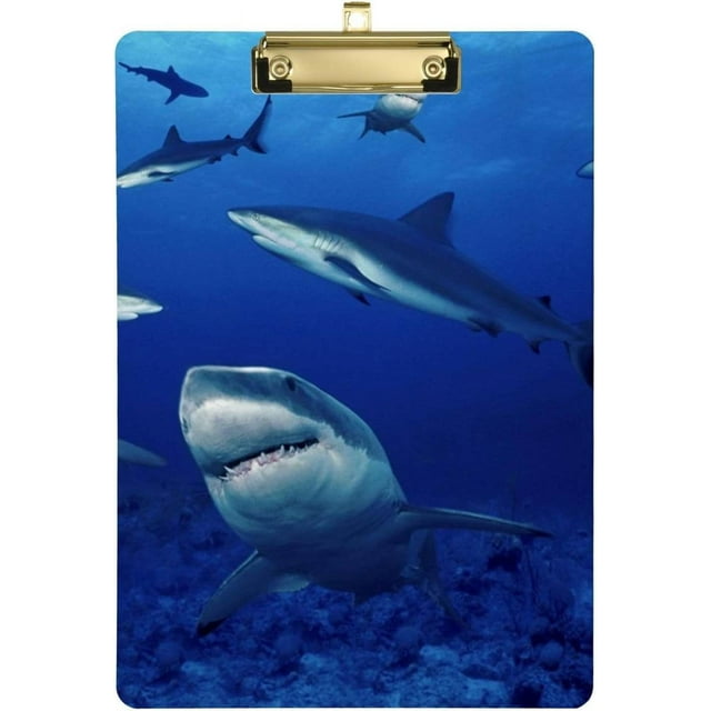 Coolnut Shark Clipboard, Acrylic Standard A4 Letter Size Clip Board ...