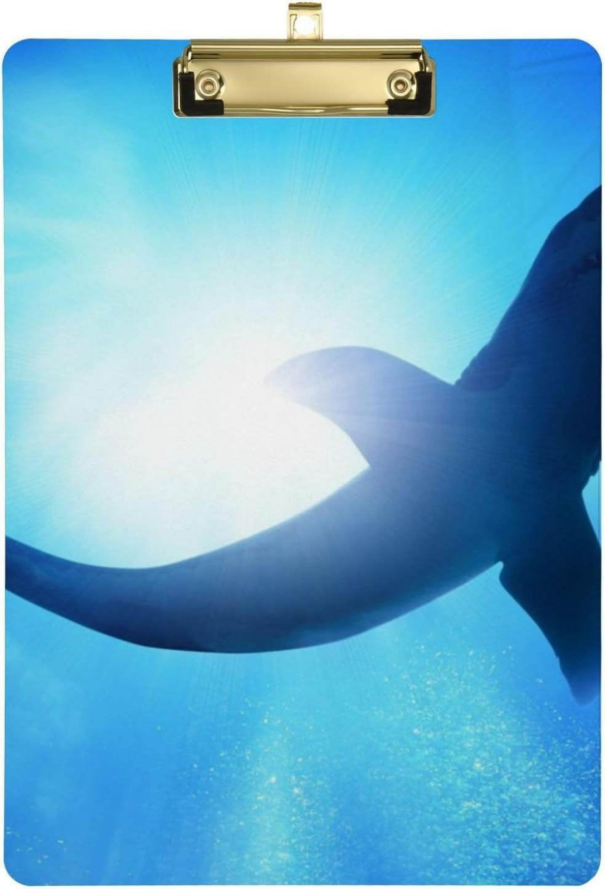 Coolnut Shark Clipboard, Acrylic Standard A4 Letter Size Clip Board ...