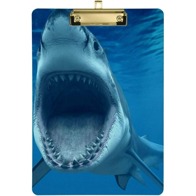 Coolnut Shark Clipboard, Acrylic Standard A4 Letter Size Clip Board ...
