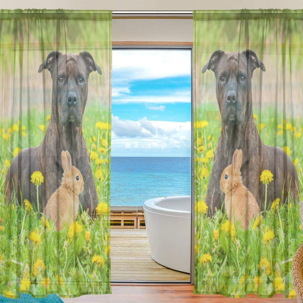 Coolnut Sheer Curtains Dog and Rabbits On Dandelions Field Gauze Door ...