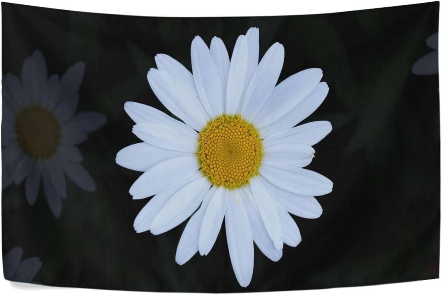 Coolnut Summer View Daisy Tapestry Aesthetic Tapestry Wall Hanging 80 ...