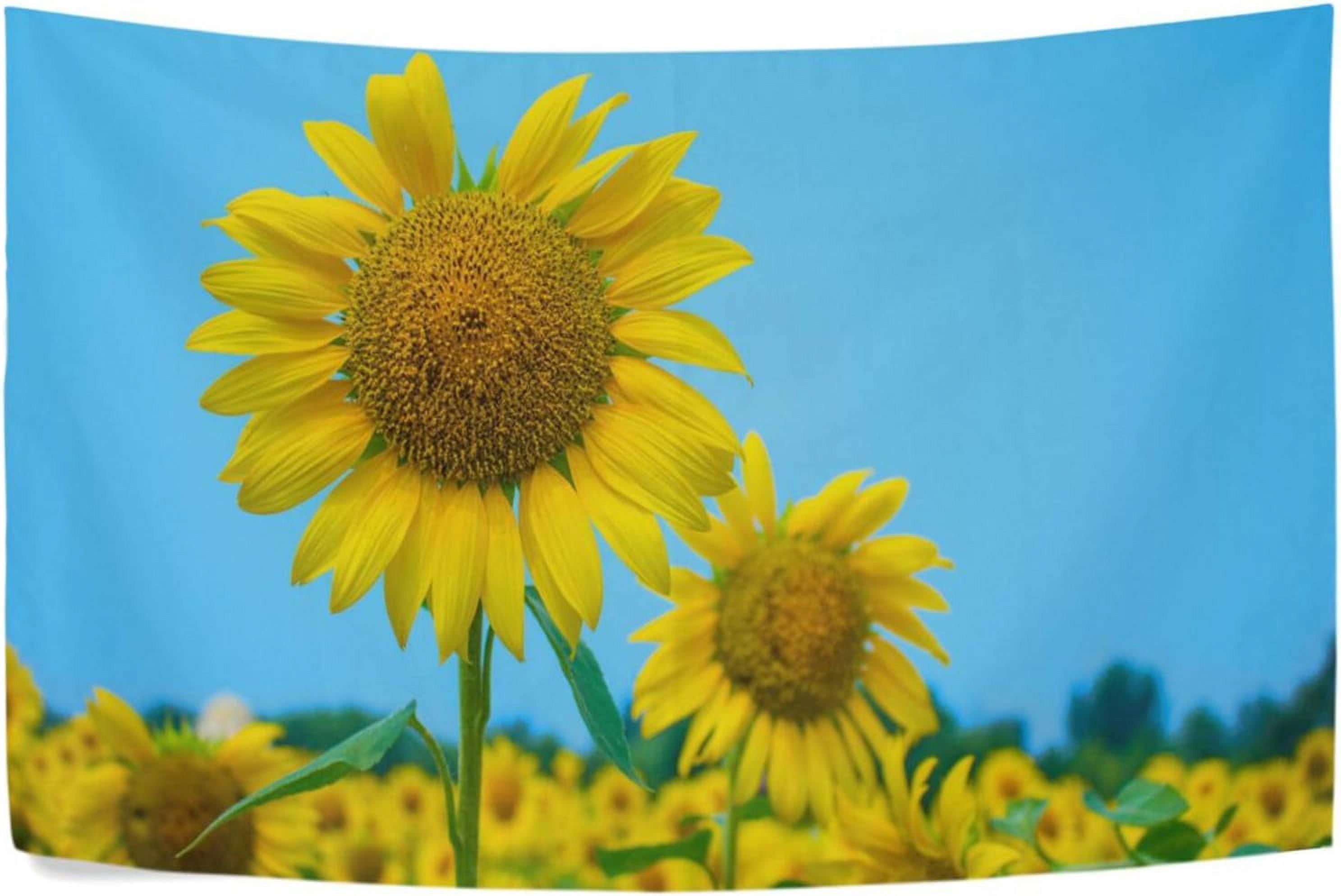 Coolnut Sunflower Bush Tapestry Aesthetic Tapestry Wall Hanging 60" x ...
