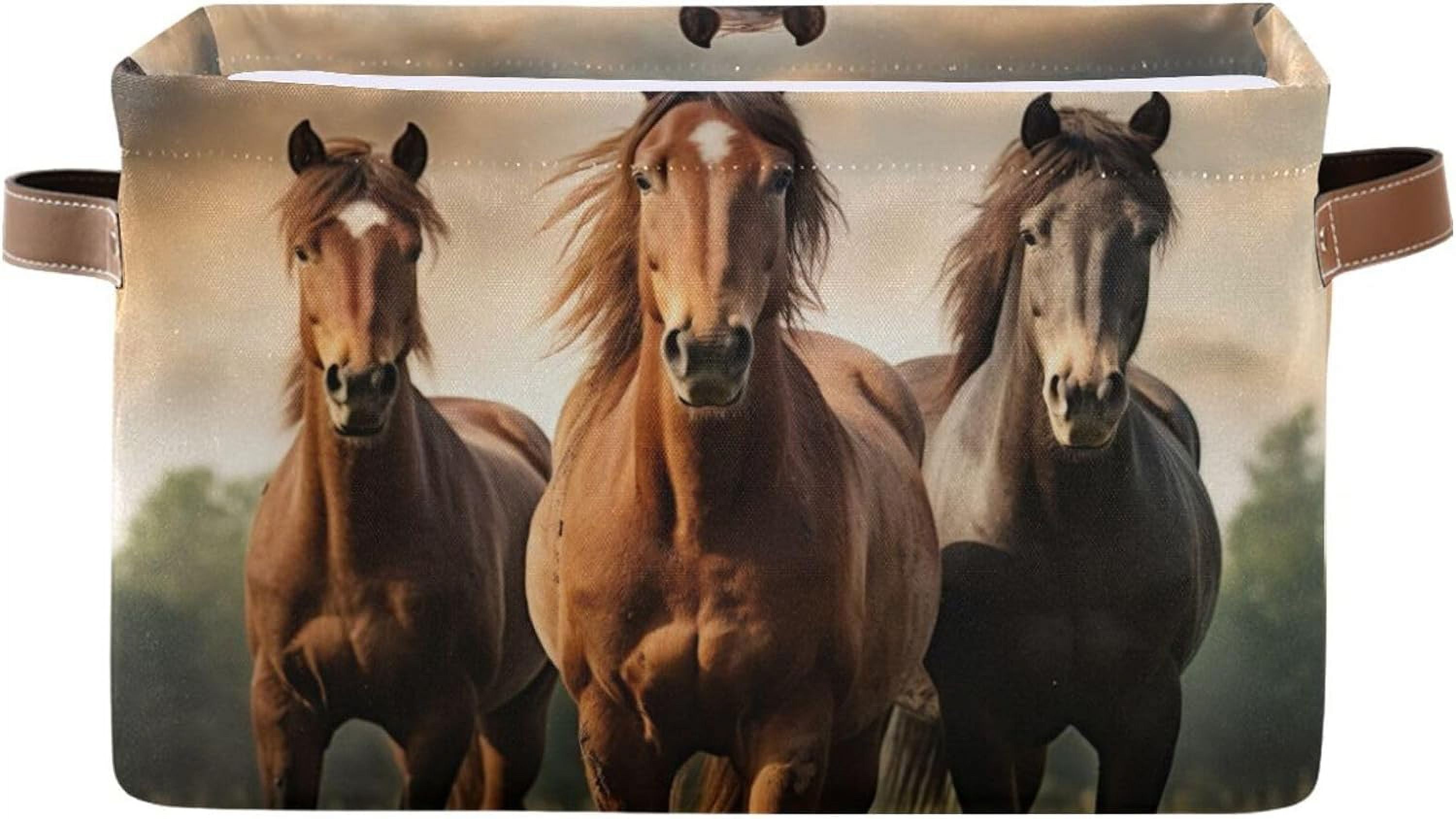 Coolnut Thinking Horse Storage Bin for Toy Storage Basket Dirty Clothes ...