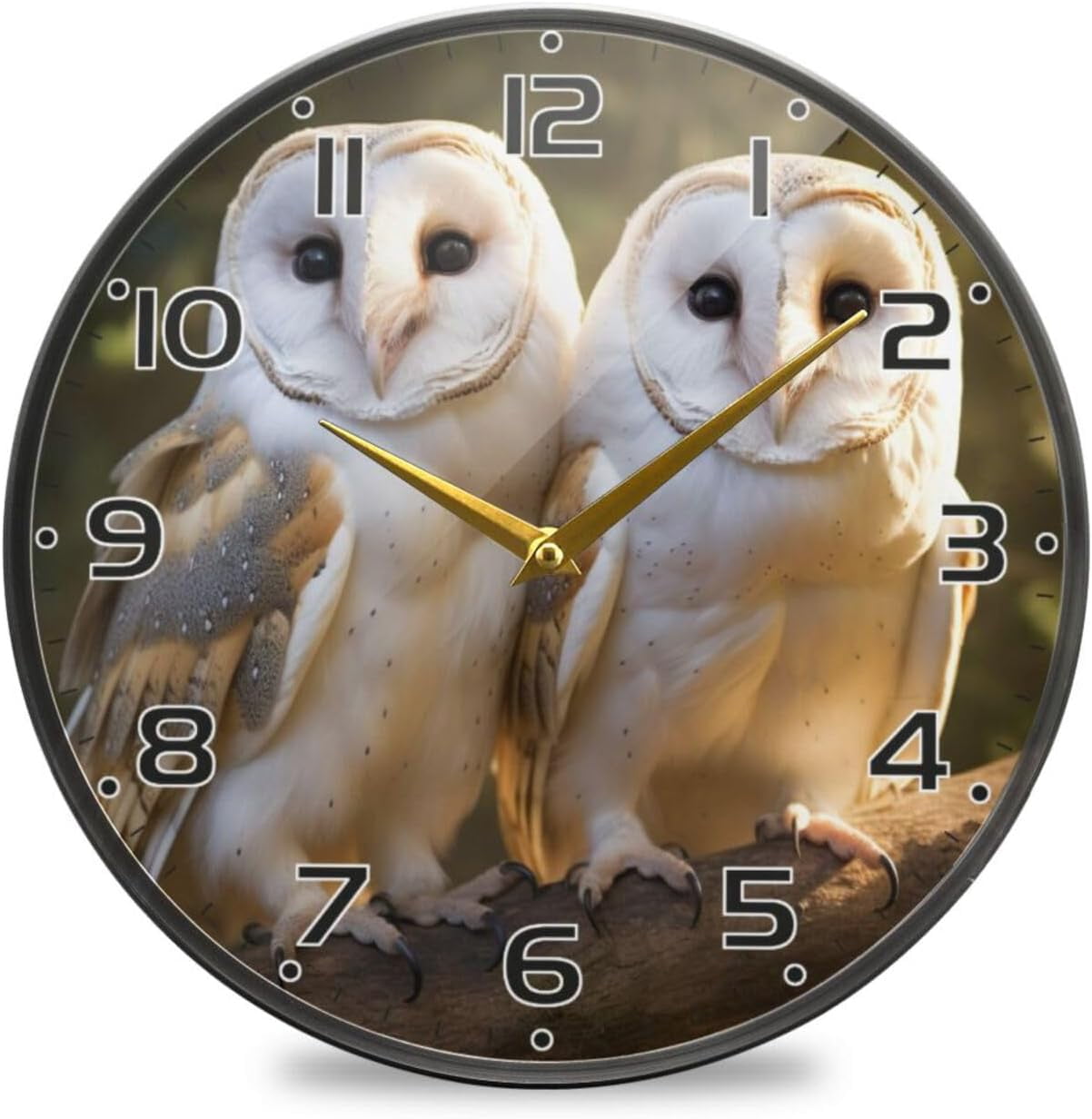 Coolnut Tree Owls Wall Clock Round Silent Non Ticking Battery Operated ...