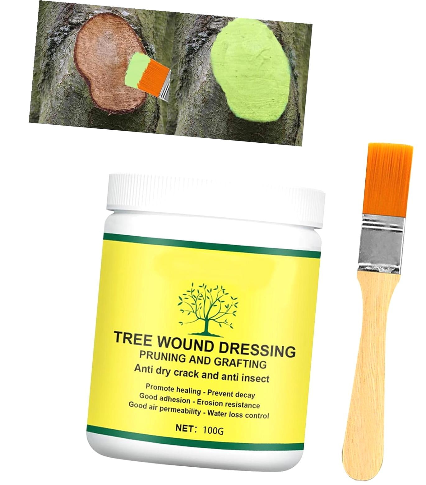 Coolnut Tree Wound Sealer, Pruning Dressing Paste & Grafting , for ...