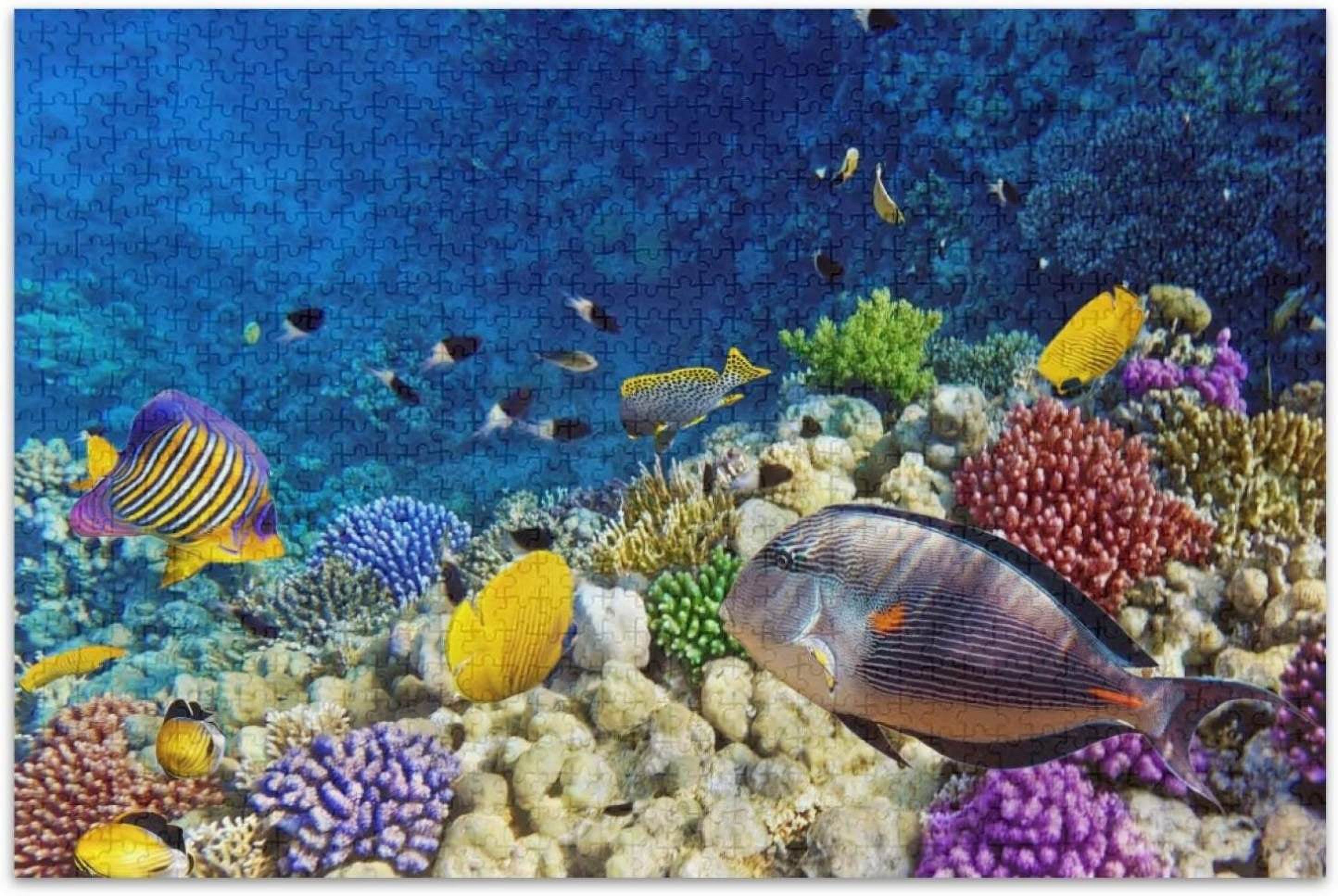 Coolnut Underwater World Fish Jigsaw Puzzles 500 Pieces Paper Puzzle ...