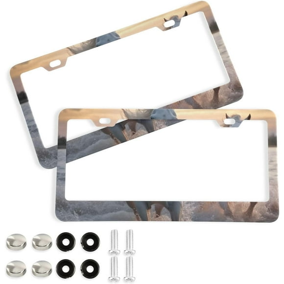 Running License Plates