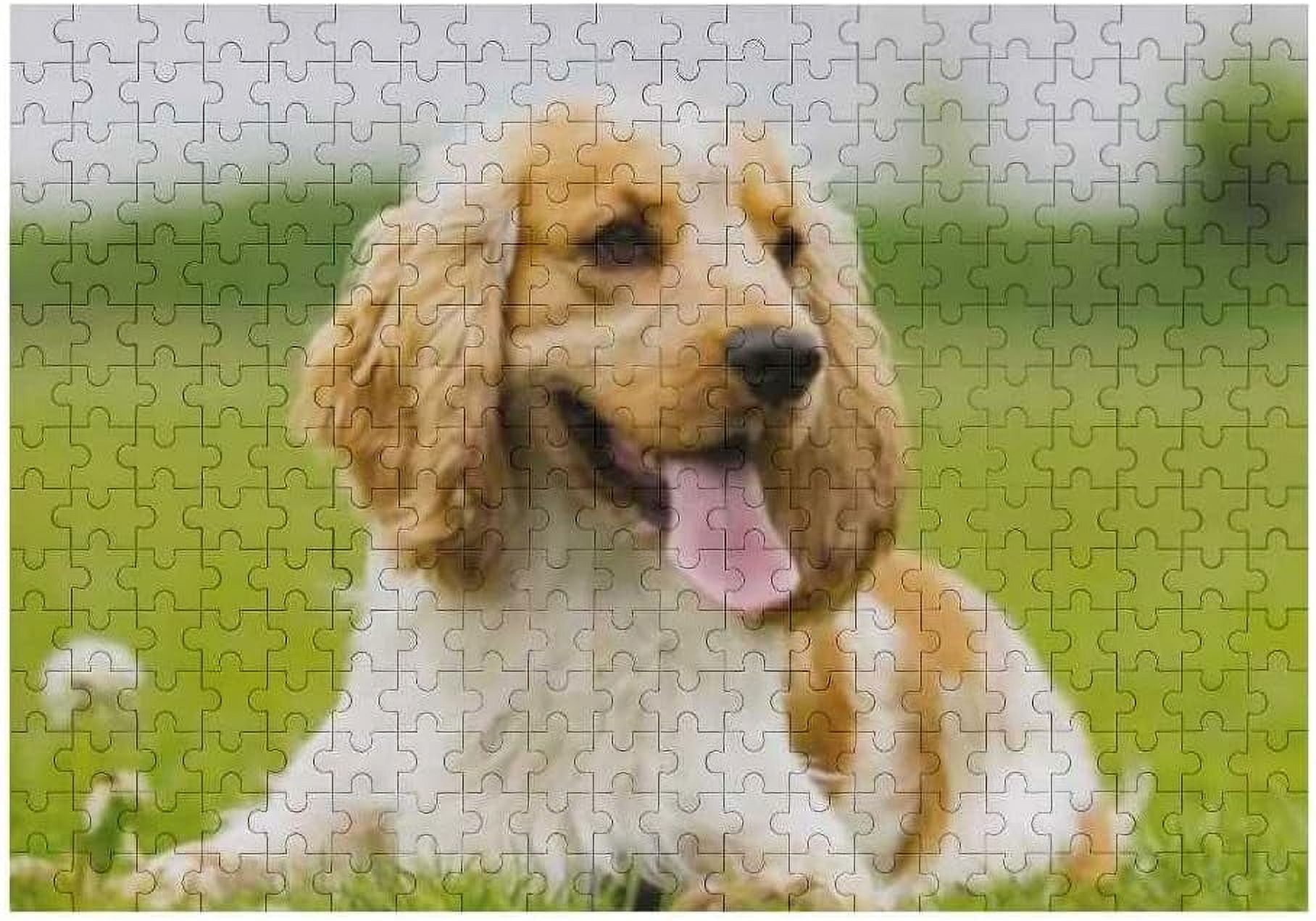 Coolnut Wooden Jigsaw Puzzles, 1000 Pieces Spaniel Dog on Green Grass ...
