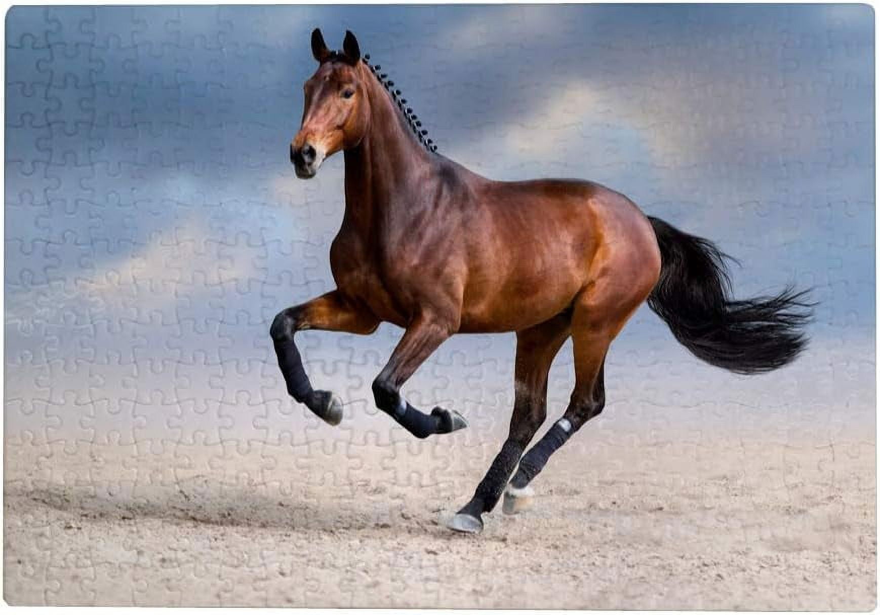 Coolnut Wooden Jigsaw Puzzles 300 Pieces, 10.6"x 15.5" Cool Horse ...
