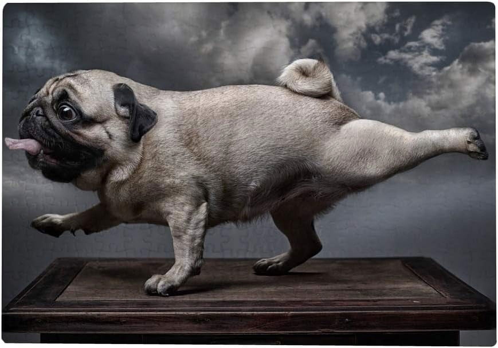 Coolnut Wooden Jigsaw Puzzles 300 Pieces, 10.6"x 15.5" Dog Doing Poses ...