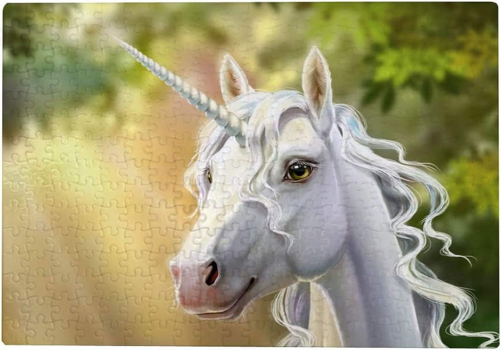 Coolnut Wooden Jigsaw Puzzles 300 Pieces, 10.6"x 15.5" Dreaming Unicorn Educational Intellectual ...