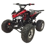 Coolster 120cc Fully Automatic Mid Sized Sport ATV C5125CX3 (Chrome ...