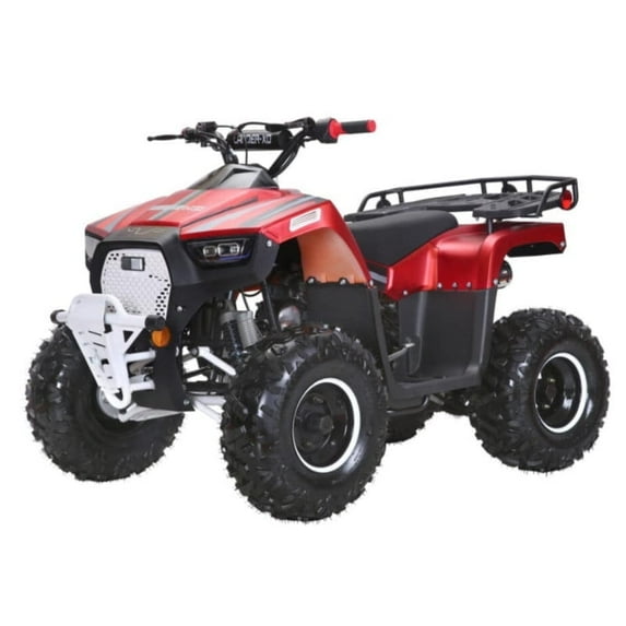 Coolster 120cc Fully Automatic Mini Sized ATV LANDER XD-125UF - Walmart.com