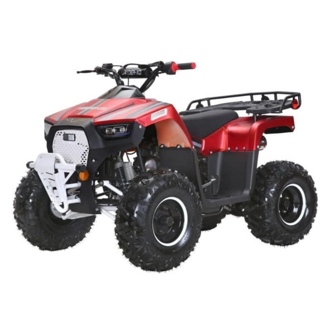 Coolster 120cc Fully Automatic Mini Sized ATV LANDER XD-125UF - Walmart.com