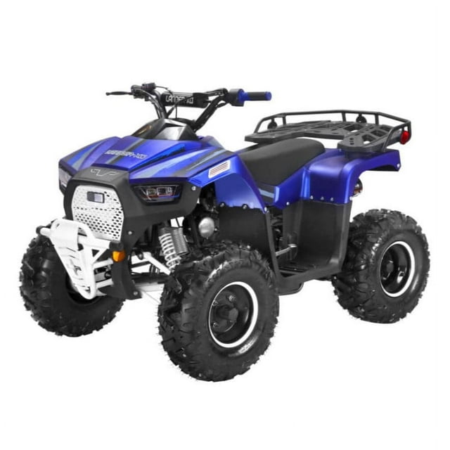 Coolster 120cc Fully Automatic Mini Sized ATV LANDER XD-125UF - Walmart.com