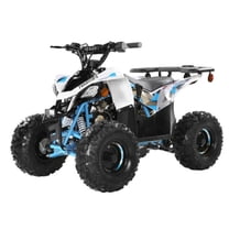 Coolster 120cc Fully Automatic Mid Sized Sport ATV C5125CX3 (Chrome ...