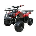 Coolster 120cc Fully Automatic Mini Sized Utility ATV 3125R - Walmart.com