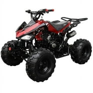Tao Motor New 125 T-FORCE Platinum 120 cc Gas All-Terrain Vehicle (ATV ...