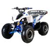 Coolster 120cc Fully Automatic Mini Sized ATV LANDER XD-125UF - Walmart.com