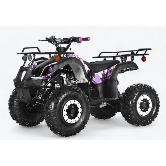 Coolster 125cc Fully Automatic Mid Sized Utility ATV C5125XR8 - Walmart.com