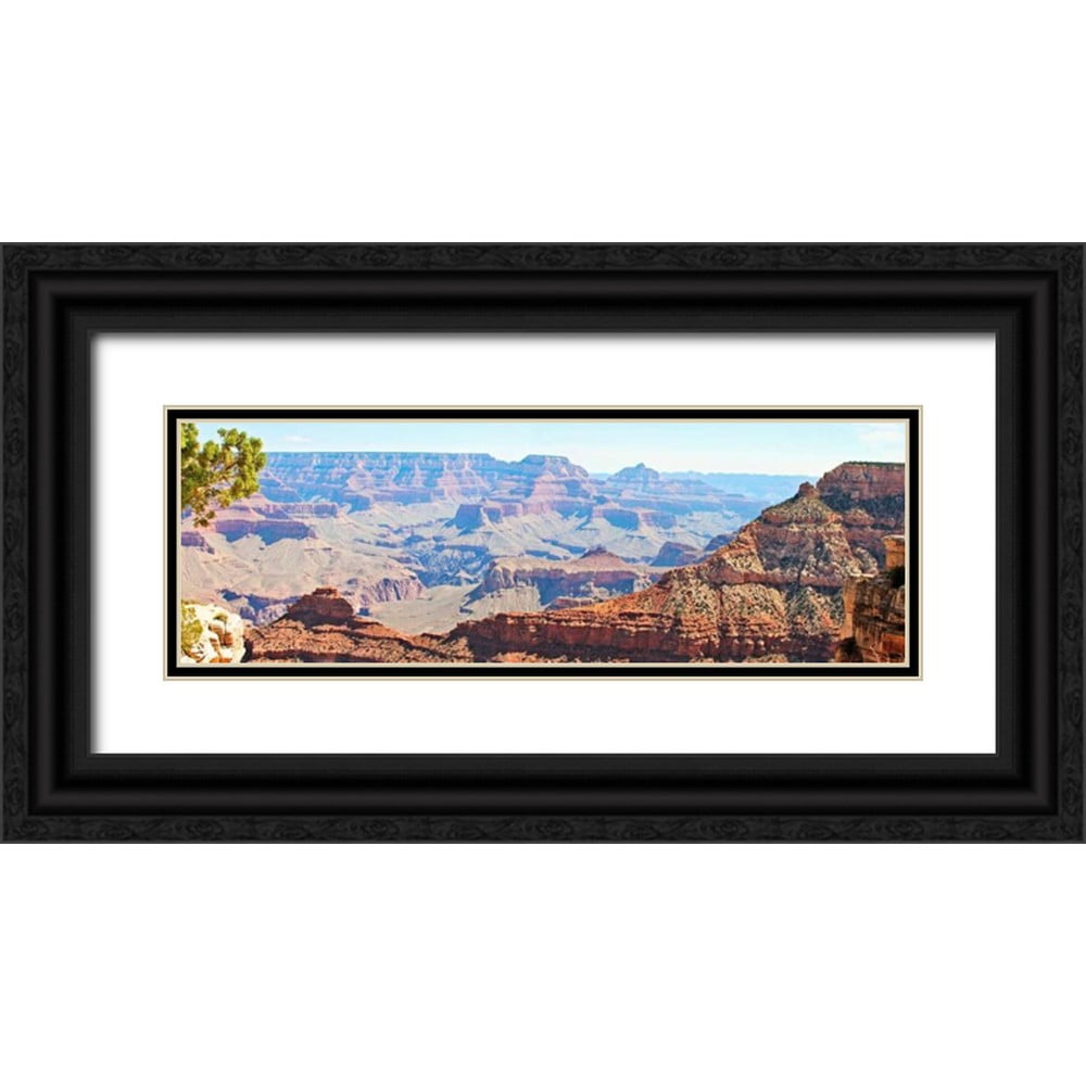 Coomes, Sylvia 18x9 Black Ornate Wood Framed with Double Matting Museum ...