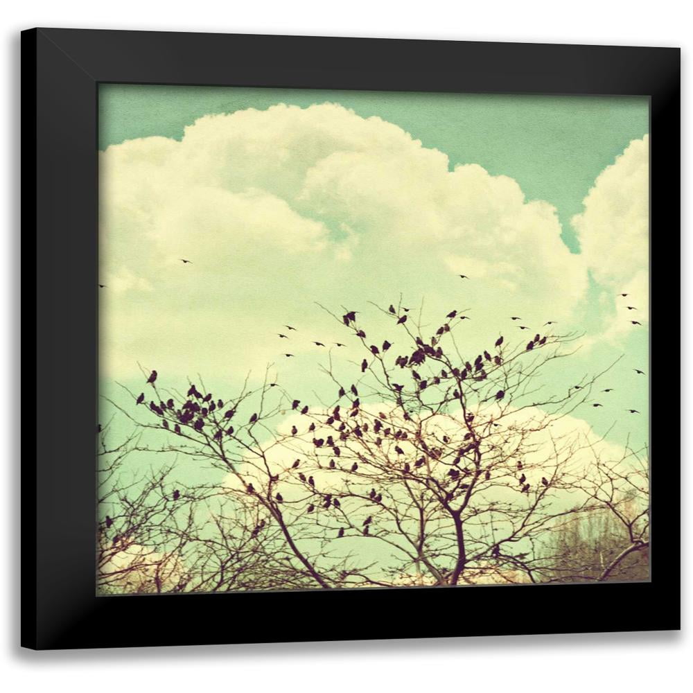 Coomes, Sylvia 20x20 Black Modern Framed Museum Art Print Titled ...