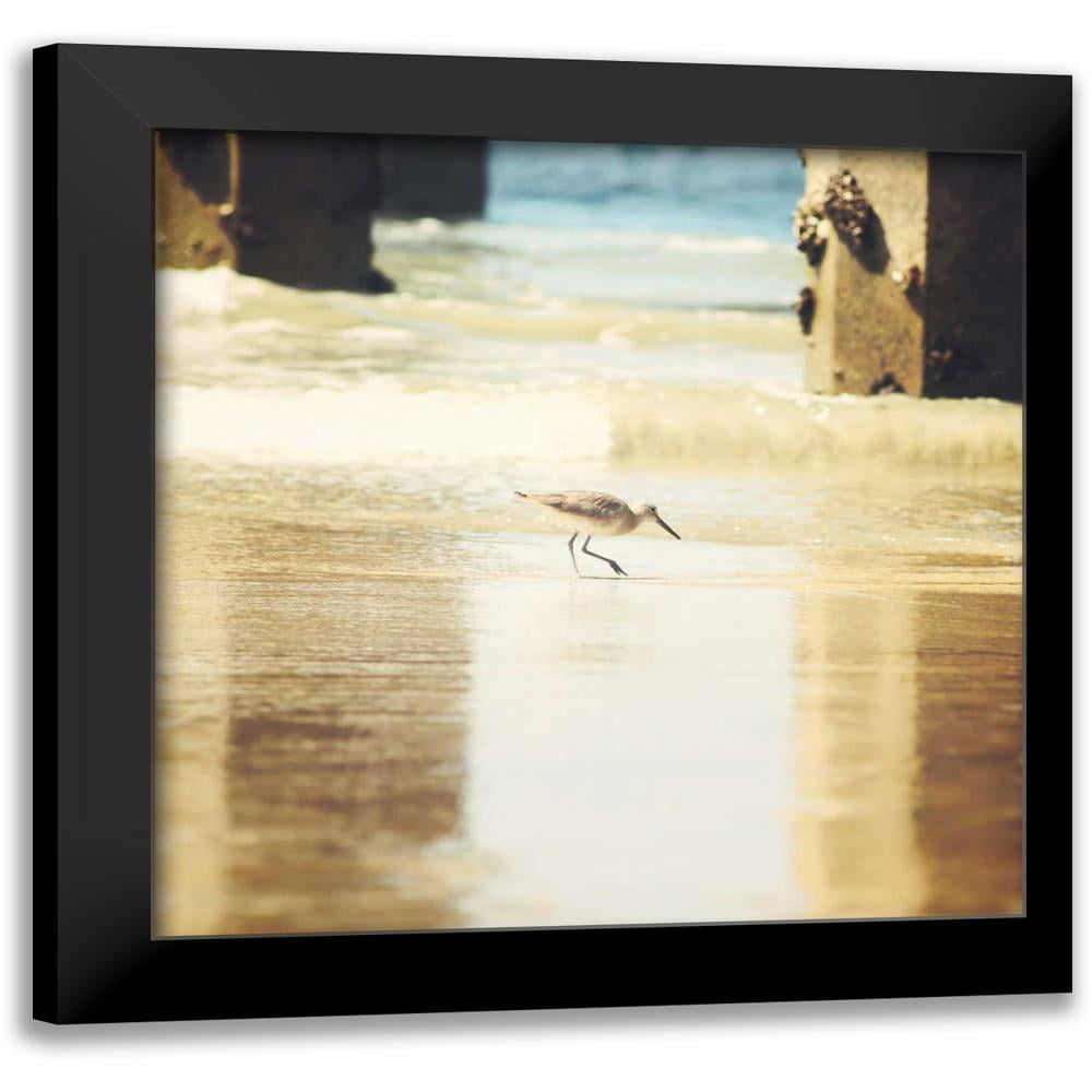 Coomes, Sylvia 20x20 Black Modern Framed Museum Art Print Titled ...