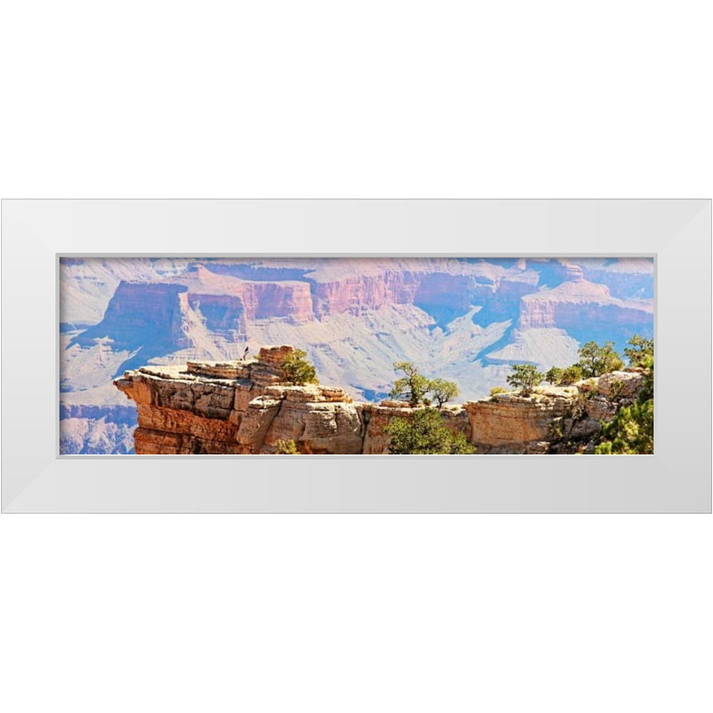 Coomes, Sylvia 32x13 White Modern Wood Framed Museum Art Print Titled ...
